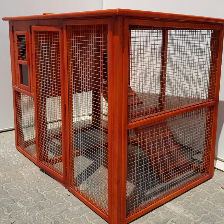 Cat House with Play Area and Ladder – Mister Pet